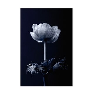 Incado 'Single Flower' Canvas Art - Bed Bath & Beyond - 39535567