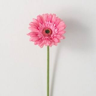 Sullivans 25 in. Gerbera Daisy Stem - On Sale - Bed Bath & Beyond ...