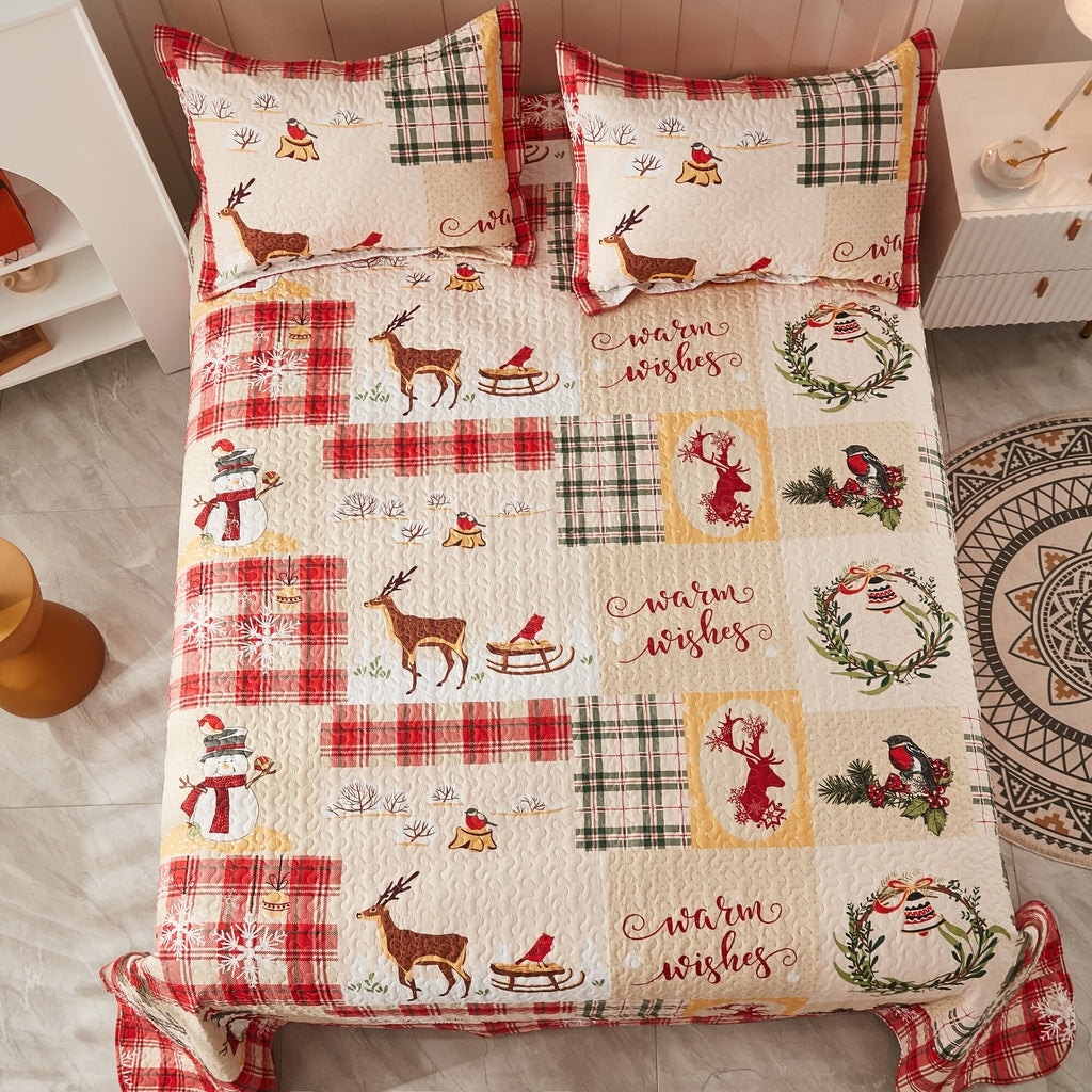 Queen bedspread sets sale store