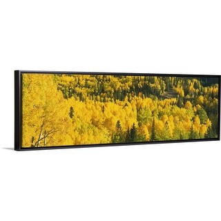 "Aerial view of aspen trees in a forest, southern Colorado" Black Float ...