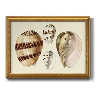 Splendid Shells VII Premium Framed Canvas- Ready to Hang - Bed Bath ...