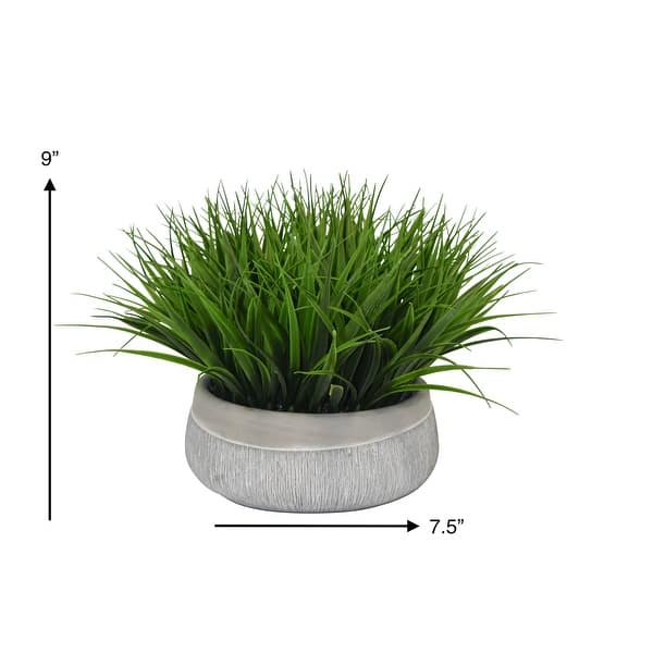 Tabletop Grass Bowl - N/A - Bed Bath & Beyond - 33987452