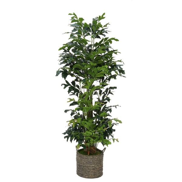 Faux 7ft Fishtail Palm in Seagrass Basket - Bed Bath & Beyond - 36235792