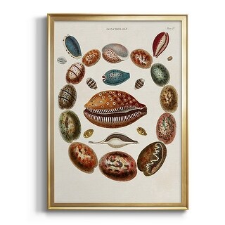 Spiral Shell Formation II Premium Framed Print - Ready to Hang - Bed ...