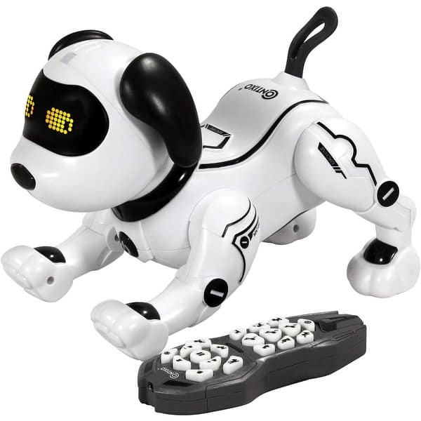 remote control pet