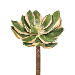Spoon Succulent Faux Plants And Trees - Bed Bath & Beyond - 41093924