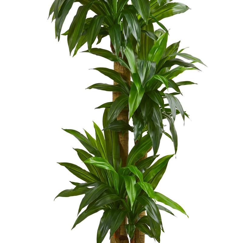 5.5' Cornstalk Dracaena Artificial Plant in Slate Planter (Real Touch ...