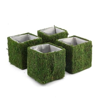 4 pcs 6"x6" Green Moss Square Planter Boxes - Bed Bath & Beyond - 42636318