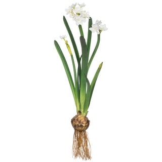 Sullivans Artificial Paperwhite With Bulb Stem 20"H White - 9"L x 7"W x ...