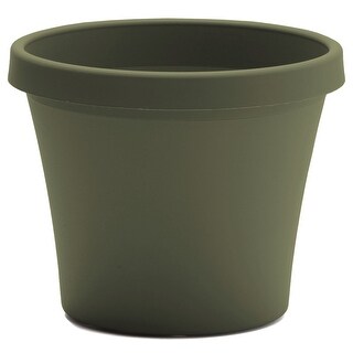 Bloem Terra Pot 12-inch Living Green Planter - Bed Bath & Beyond - 14326314