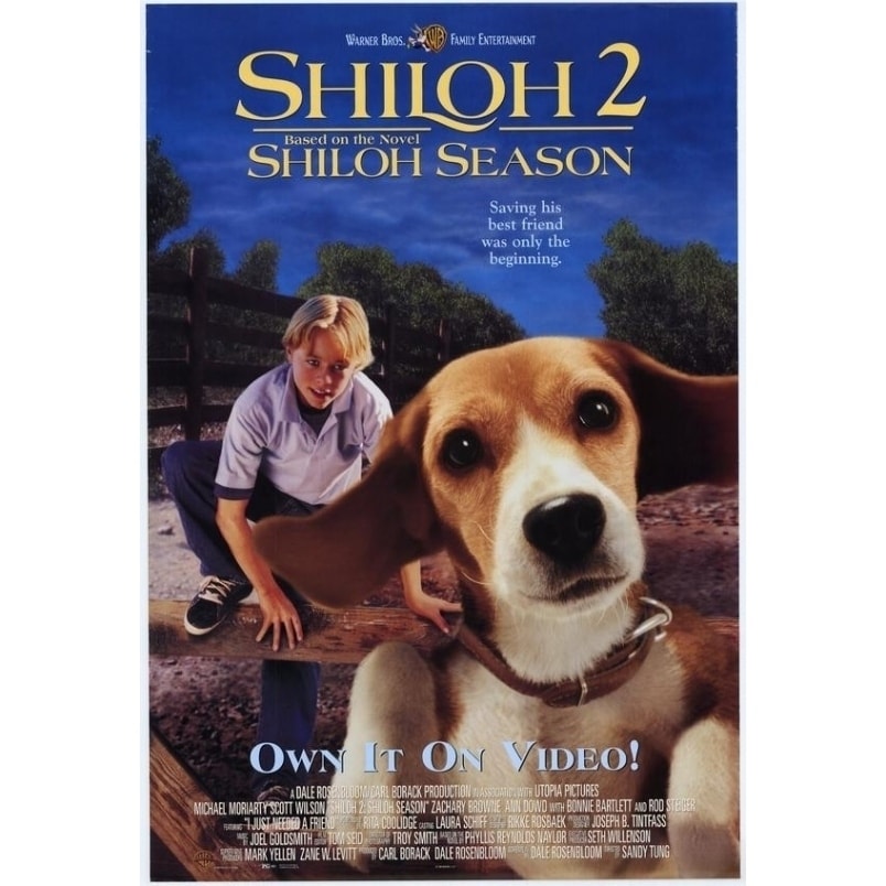 saving shiloh 2