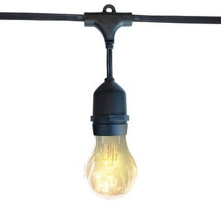 Deerport Décor LED Vintage String Lights - Bed Bath & Beyond - 32038713