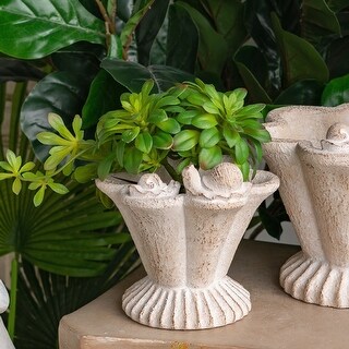 Sand and Cement Coral Planter with Textured Beige Finish - Bed Bath ...