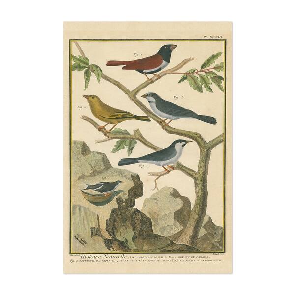 Bird Drawing IV Crop Illustrations Animals Birds Art Print/Poster - Bed ...