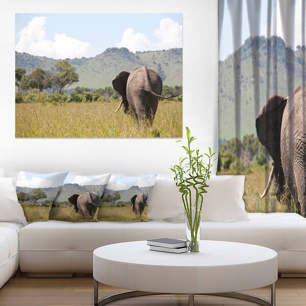 large elephant canvas