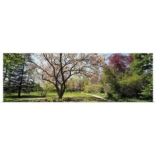 "Trees in spring in an urban park, Adams Park, Wheaton, DuPage County ...