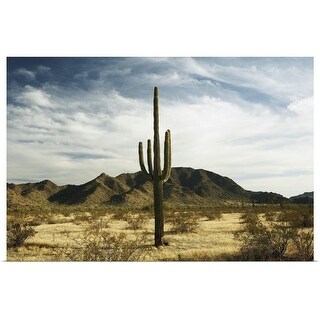 "Saguaro cactus" Poster Print - Multi - Bed Bath & Beyond - 16492204