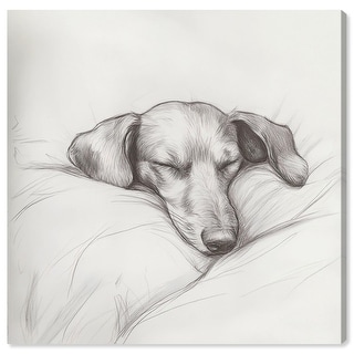 Doggy Daydreams I Canvas Vintage Dog Drawings by Art Remedy - Bed Bath ...