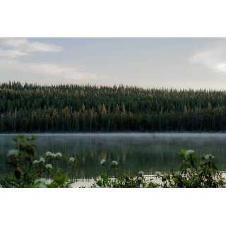 Lake Forest Photograph Art Print - Bed Bath & Beyond - 15264590