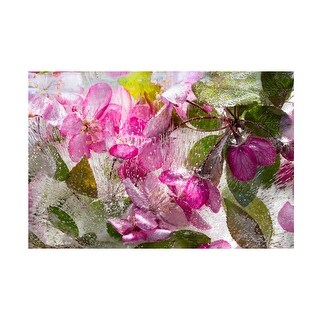 Elizabeth Bruders 'Facing Within Fuschia Peony in Ice' Canvas Art - Bed ...