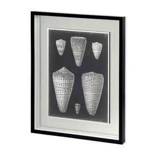 Alabaster Shells I Framed Art Print - Bed Bath & Beyond - 39191872