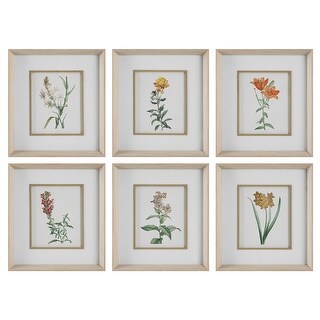 Uttermost Classic Botanicals Framed Prints Set/6 - Bed Bath & Beyond ...