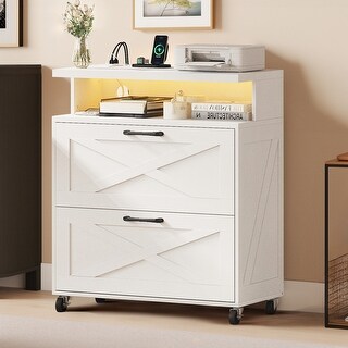 Moasis Farmhouse 2 Filing Drawers Cabinet File Cabinet with 4 Hanging ...