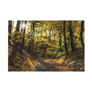 Kurt Shaffer Photographs 'Brilliant Autumn Roadway' Canvas Art - Bed ...