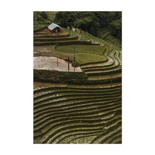 Sapa Lao Cai Vietnam House and Rice Terraces Nature Art Print/Poster ...