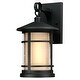 Westinghouse Albright One-Light Outdoor Medium Wall Lantern, Textured ...