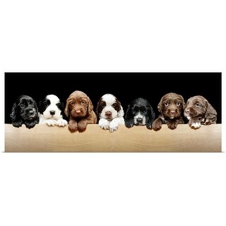"Sprocker Puppies" Poster Print - Multi - Bed Bath & Beyond - 16477112