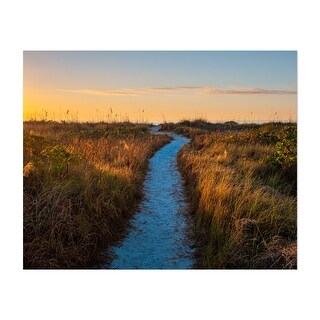 Florida Beach Path Photography Clouds Coastal Hiking Art Print/Poster ...