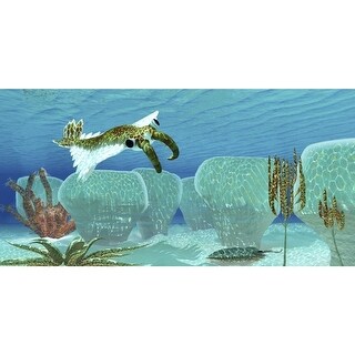 Anomalocaris An Invertebrate Predator Of Cambrian Seas Sneaks Up On A ...