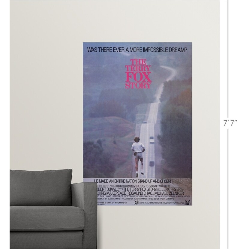 tery fox poster