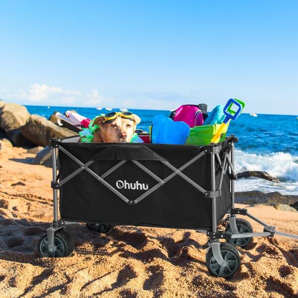 sand wagons for beach