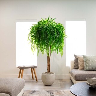 Potted Willow Artificial Tree - 8' - Green - Bed Bath & Beyond - 42766954