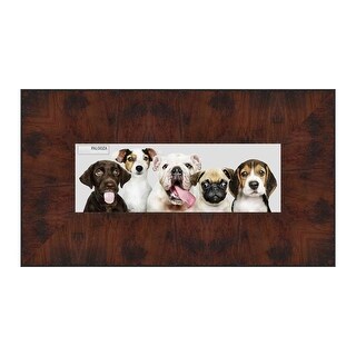 30x10 Contemporary Walnut Complete Wood Panoramic Frame with UV Acrylic ...