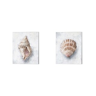 Ethan Harper 'White Shell Study' Canvas Art (Set of 2) - Bed Bath ...