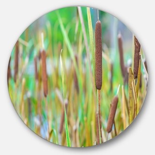 Designart 'The Reeds' Landscape Photography Large Disc Metal Wall art ...