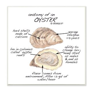 Stupell Oyster Marine Life Anatomy Facts Educational Diagram Wood Wall ...