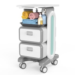 Mobile Medical Trolley Cart 130 Lbs Load Portable Professional Cart for ...
