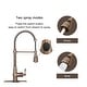 Pre-Rinse Spring Kitchen Faucet, Single Level with Pull Down Sprayer ...