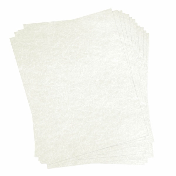 50 Sheet Pre-Cut Parchment Paper 10"x7" - Bed Bath & Beyond - 39489834