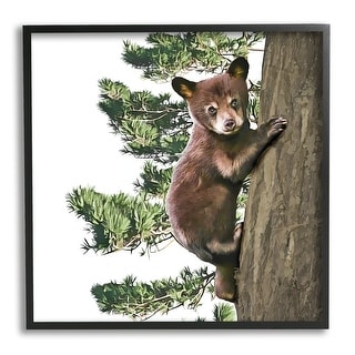 Stupell Bear Cub Climbing Tree Nature Framed Giclee Art by Kim Curinga ...