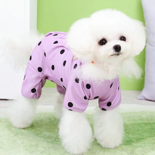 do dogs need pyjamas