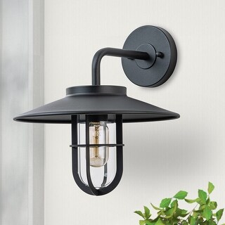 C Cattleya 1-Light Matte Black Outdoor Barn Light with Clear Glass ...