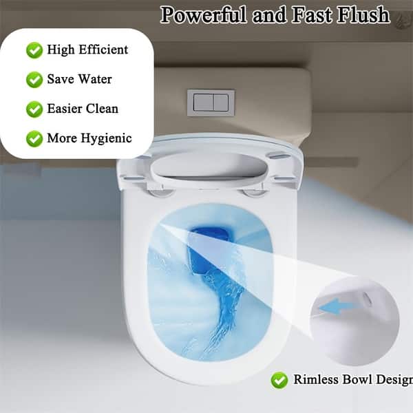 double cyclone flush