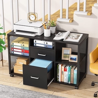 Mobile Lateral File Cabinet with 2 Drawer for Home Office - Bed Bath ...
