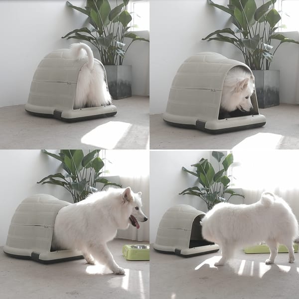 largest igloo dog house