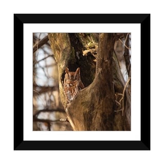 iCanvas "Red Phase Eastern Screech Owl II" by Sandra Rust PFA - Bed ...